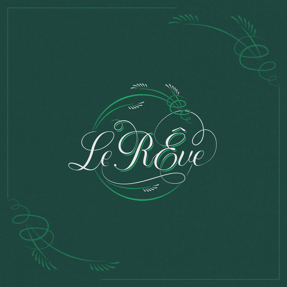 Anastasia Rayner - Graphic Design | Illustration